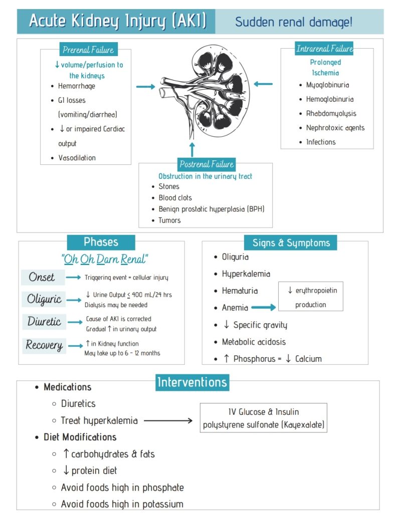 Kidney Diseases Charts at a glance - Phartoonz